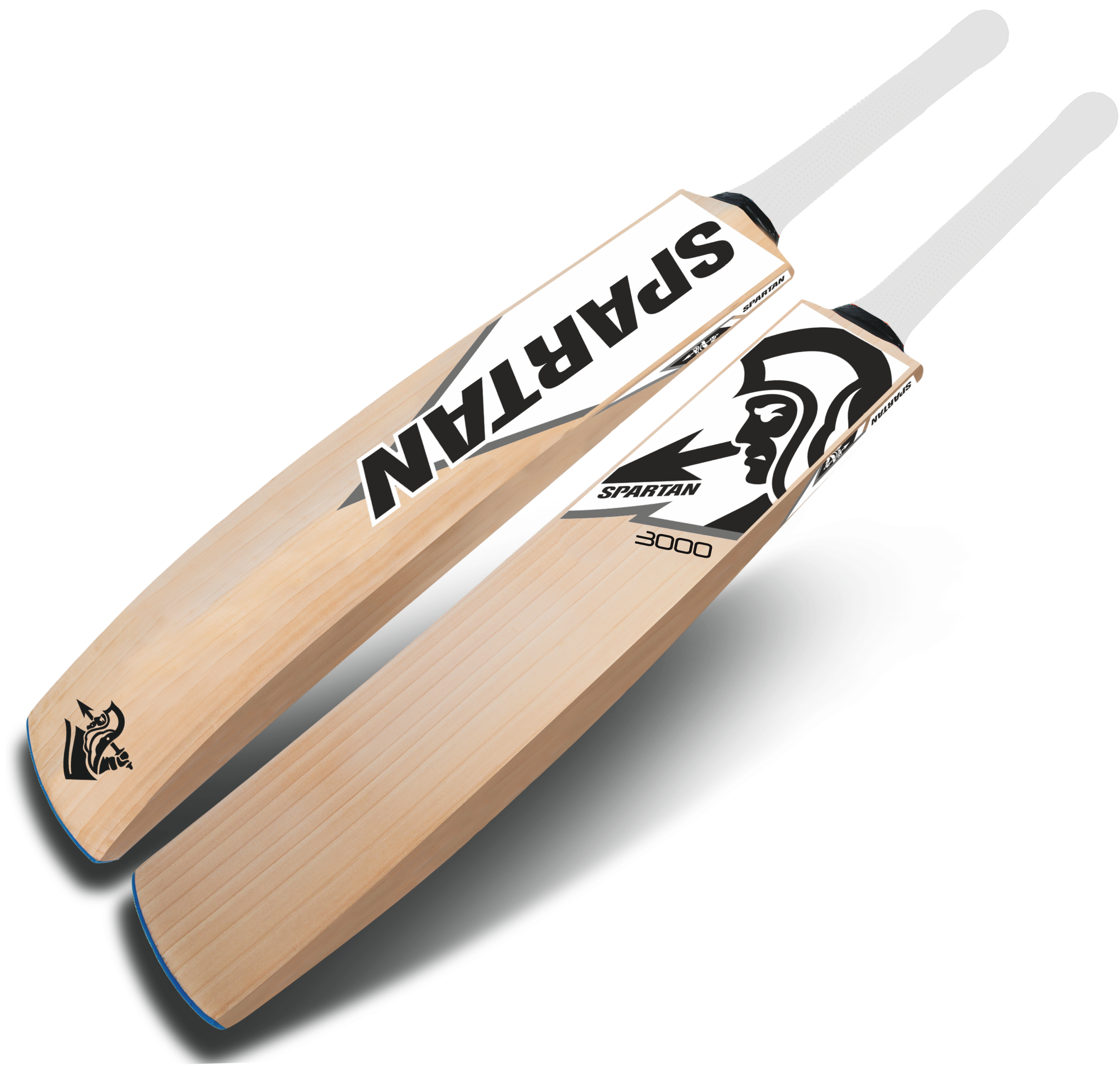 English Willow Cricket Bat for Leather Ball Matches – Spartan Sports ...